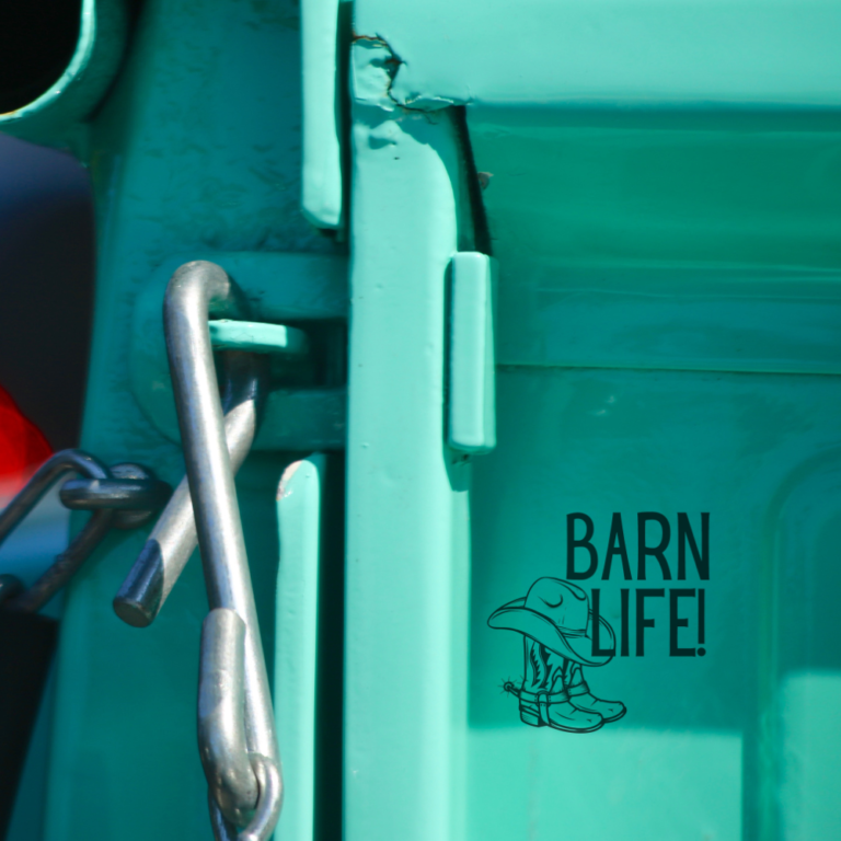 Barn Life Decal - Western Riders : Hags with Nags